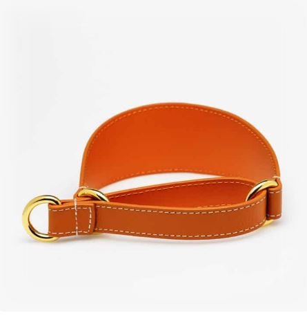 Collar Of Sweden Martingales – Milly & Me Pet Wear